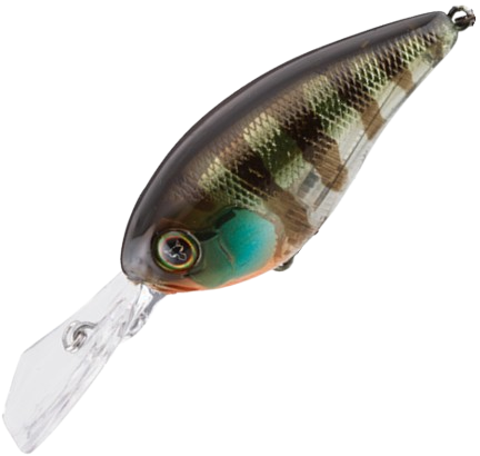 Jackall Digle 5+ Crankbait Lure – 74mm Ultra Deep Floating Crankbait for Bass & Cod