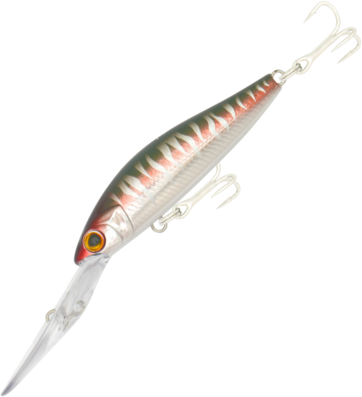 Samaki Redic Jerkbait DS60LC – 60 mm Long Cast Deep Diver | Anglers ...